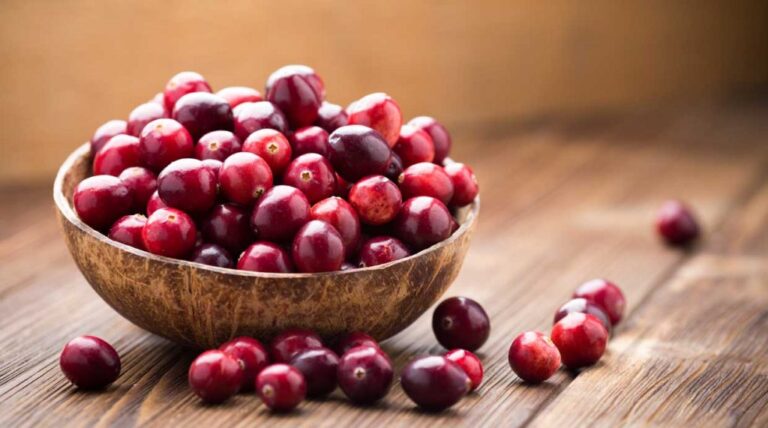 El Cranberry, la súper fruta aliada de tu salud – Alimentación Natural ...